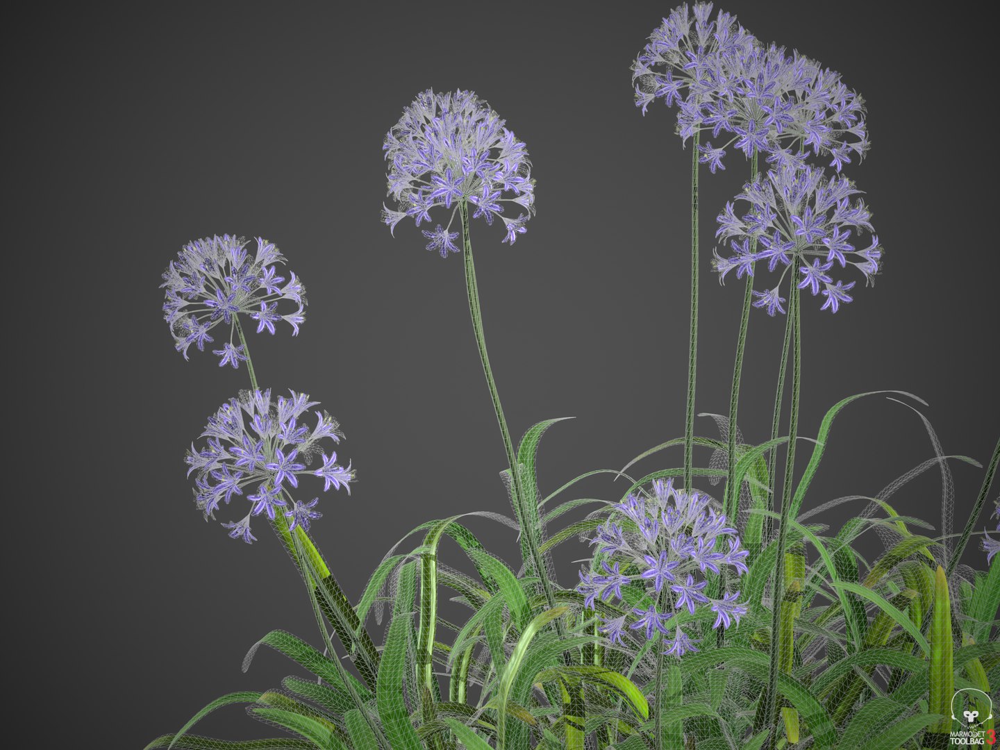 3D XfrogPlants Garden Flowers Pack 1 - TurboSquid 1719406