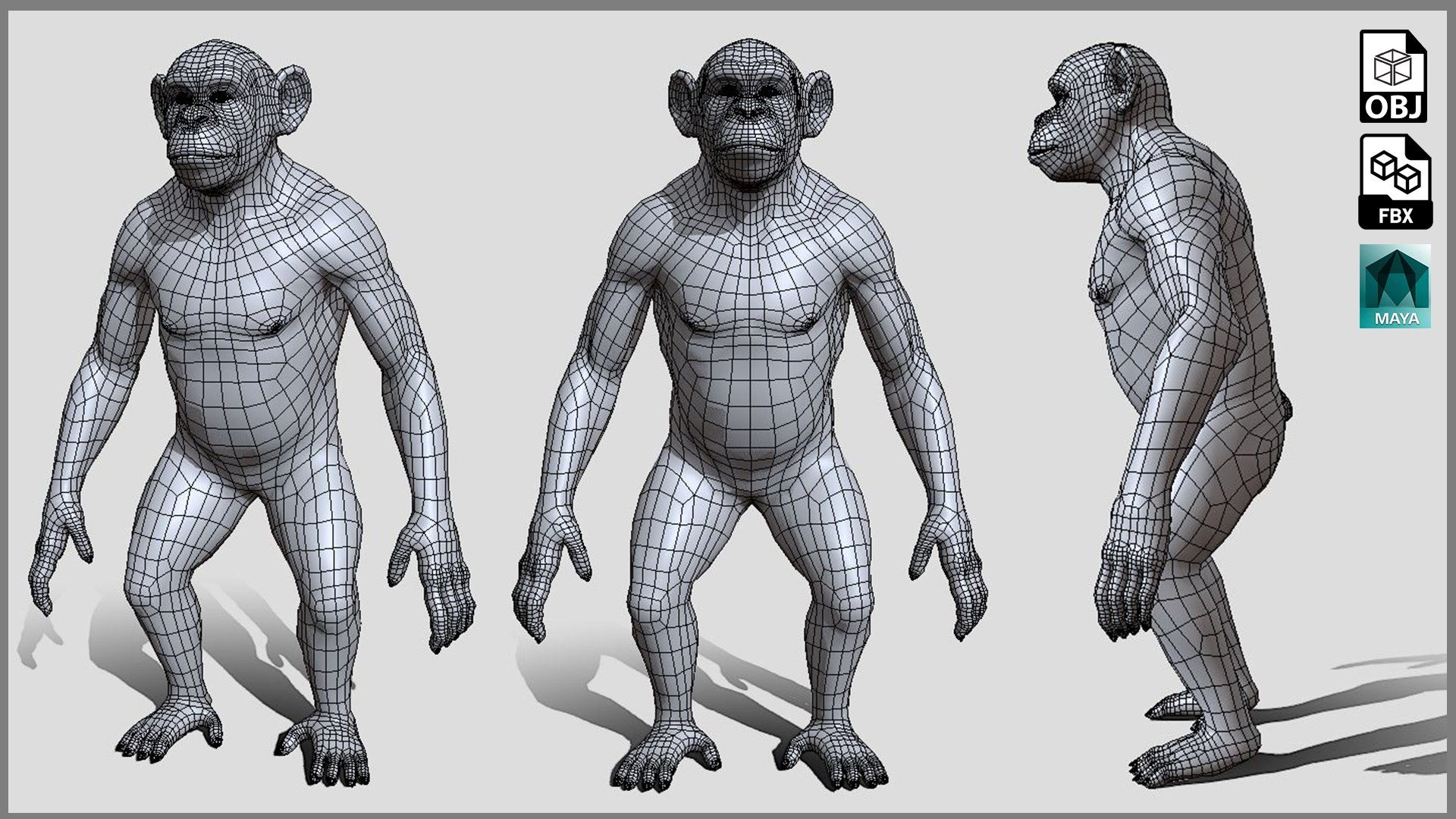 3D model Chimpanzee 2 - TurboSquid 2096626