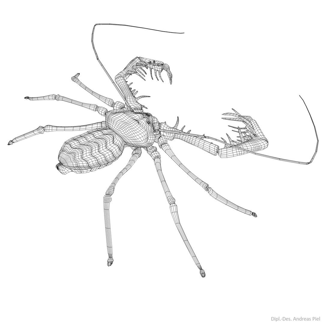 3d Realistic Tailless Whip Scorpion Model