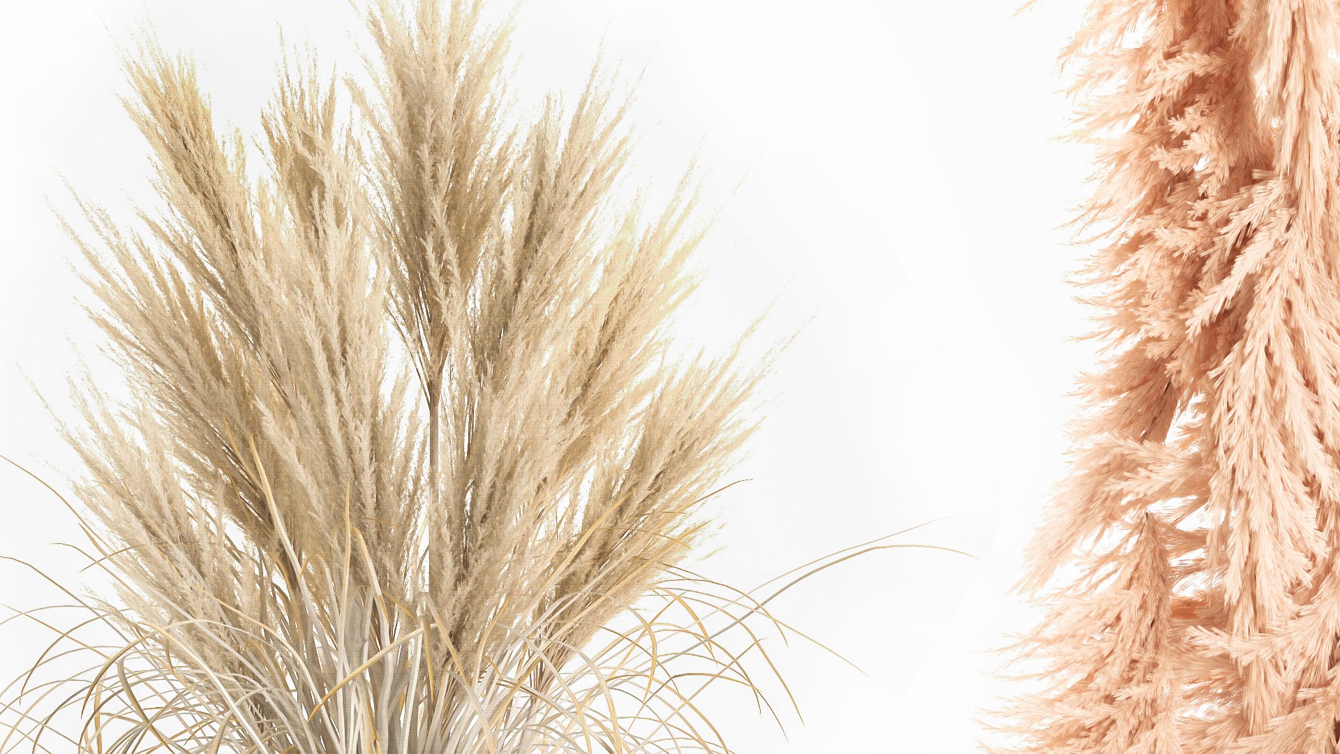 3D Wedding Arch Made Of Dry Reeds And Palm Leaves For Decor 1062 ...