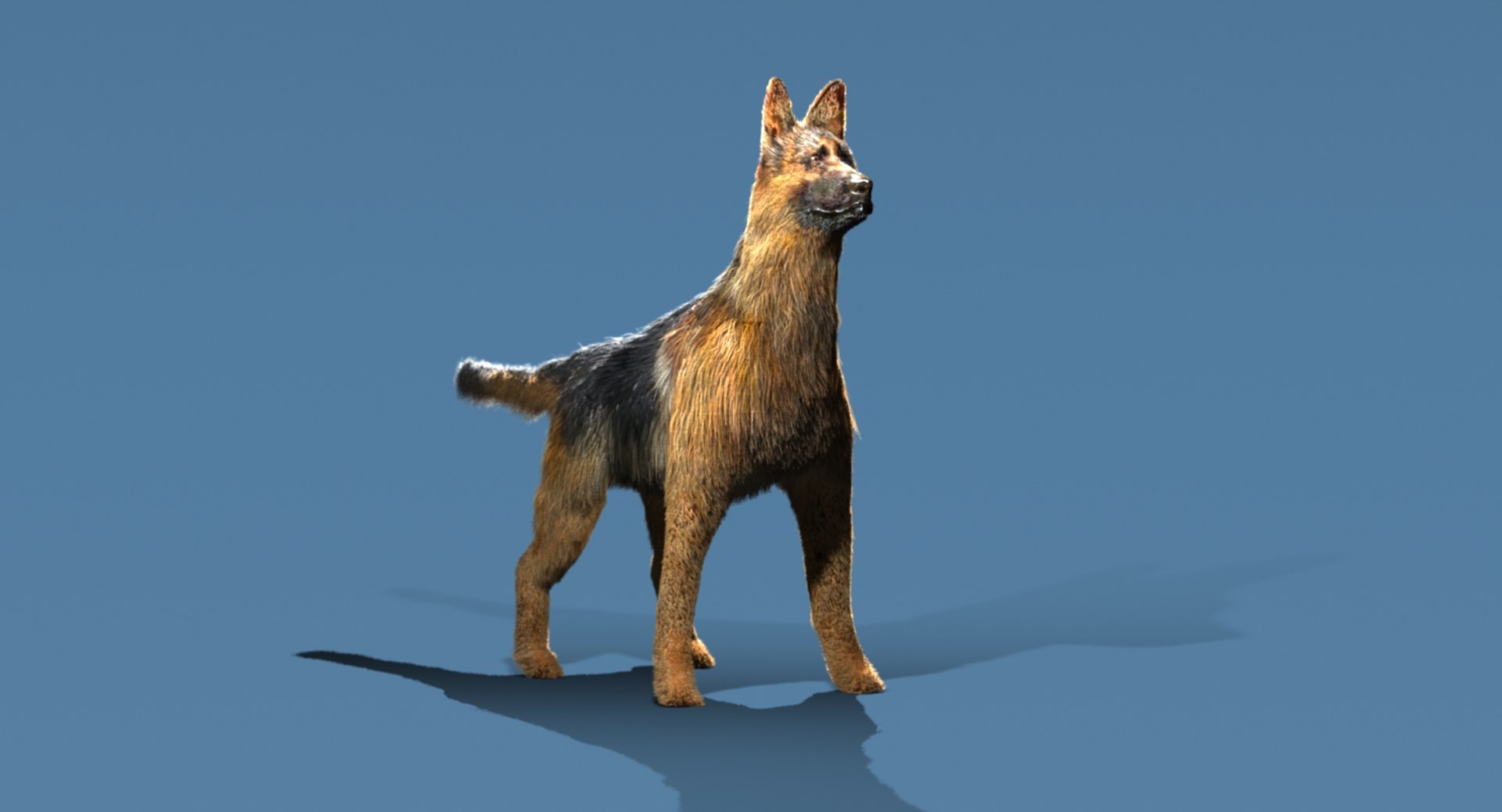 Max Dog
