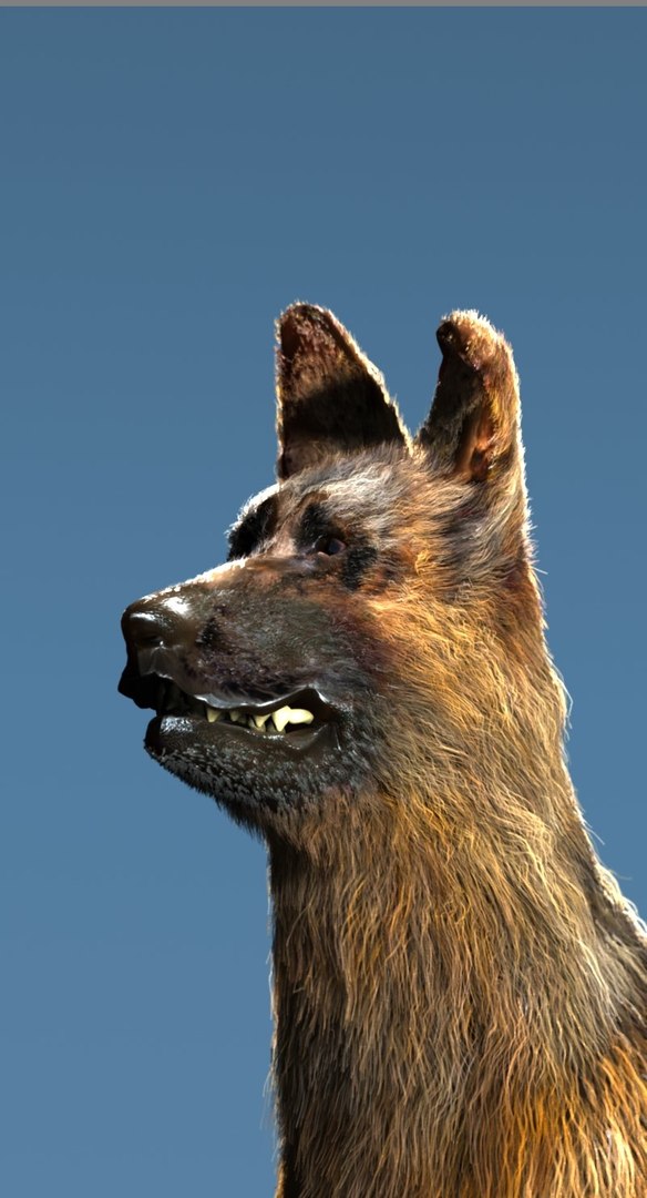 max dog
