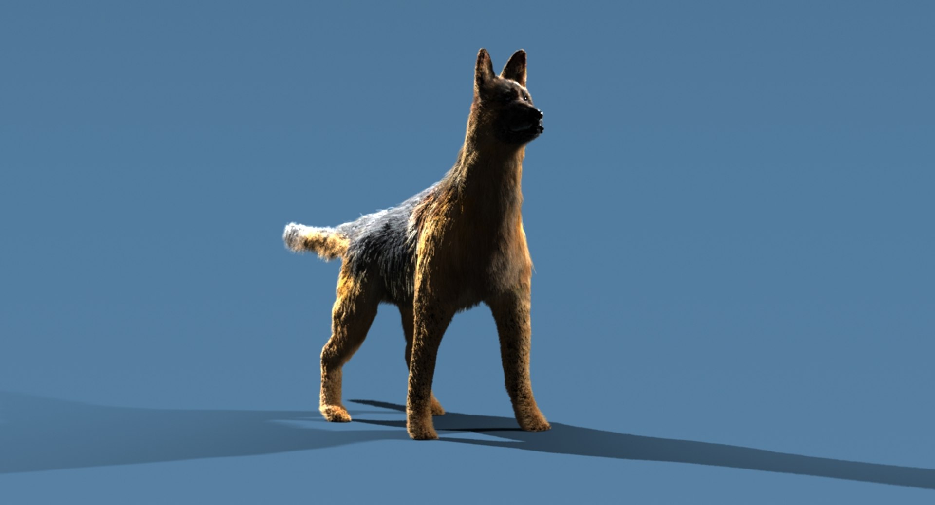 max dog
