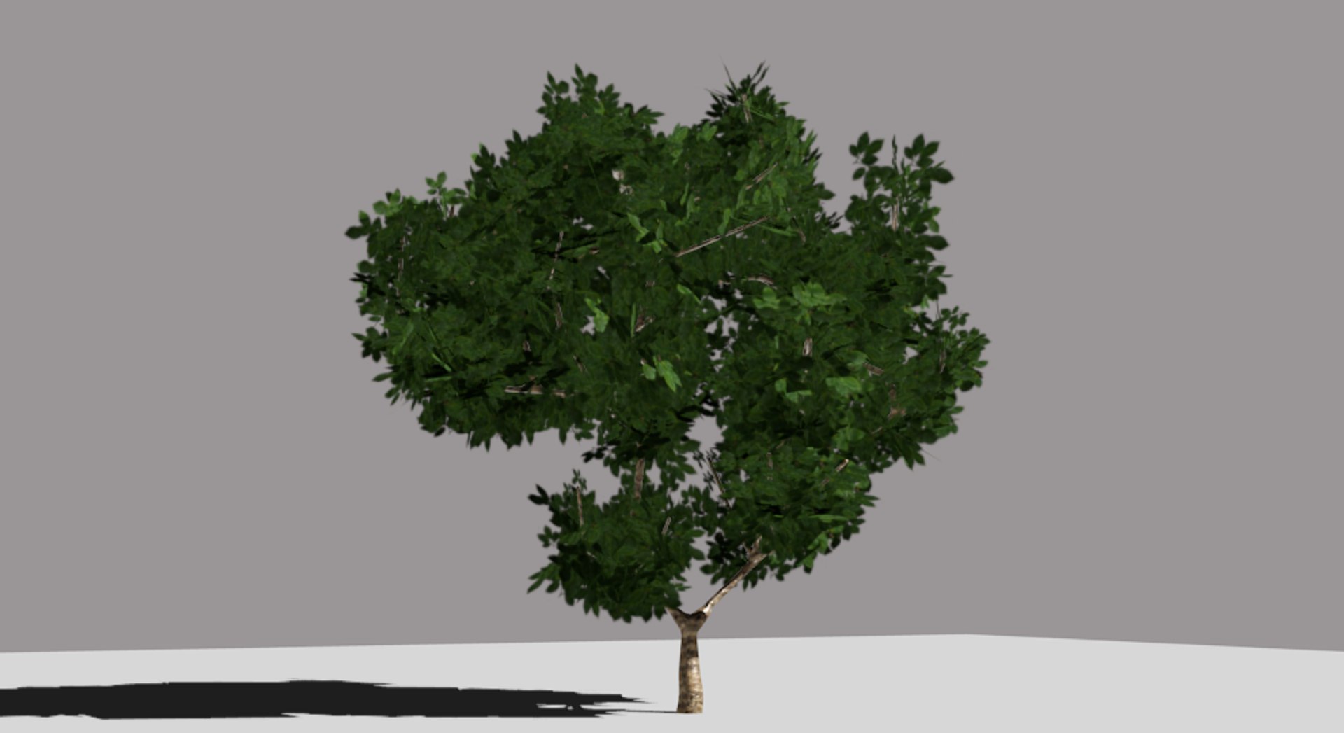 Tree Blender Model - TurboSquid 1331222