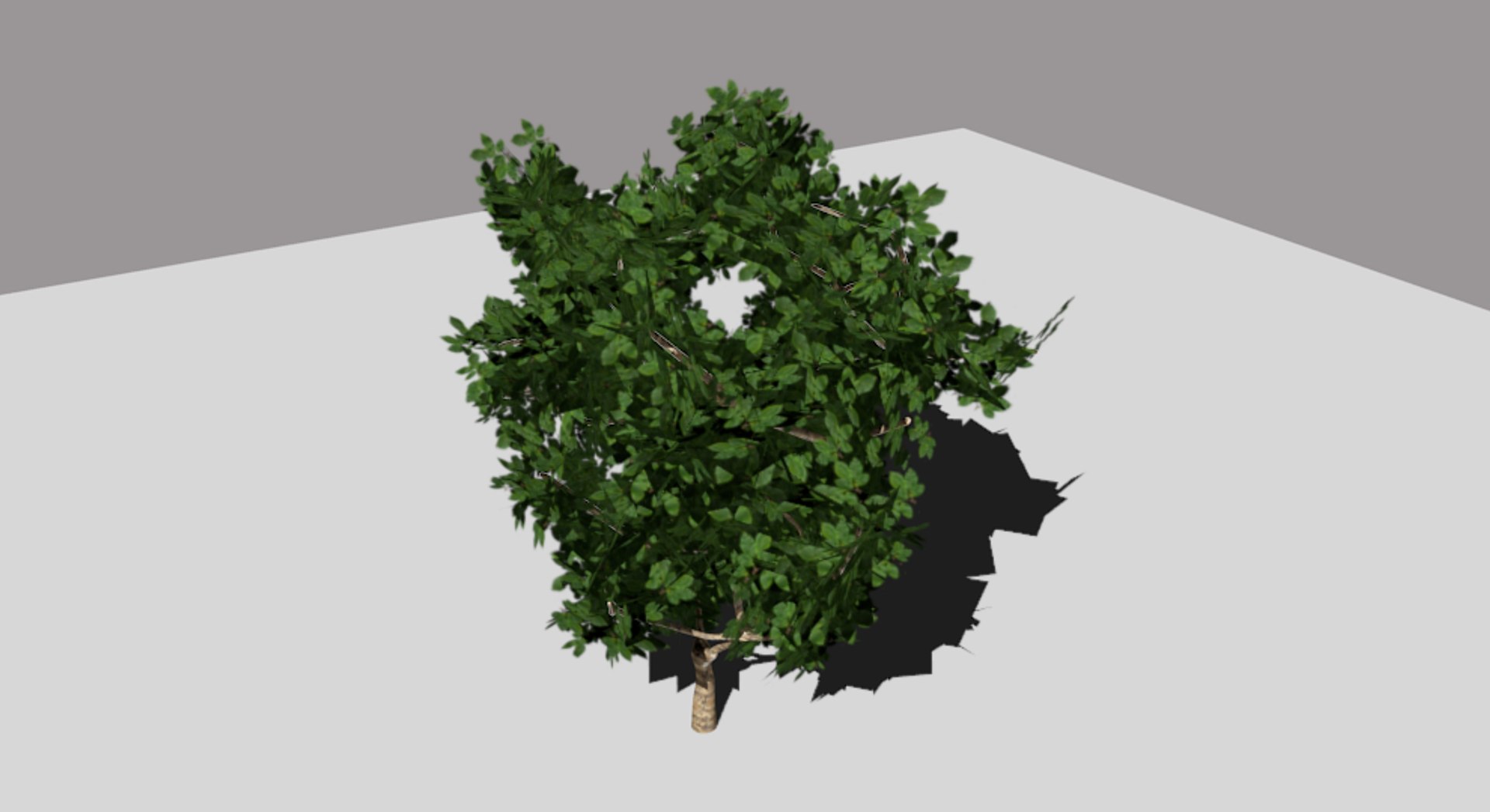 Tree Blender Model - TurboSquid 1331222