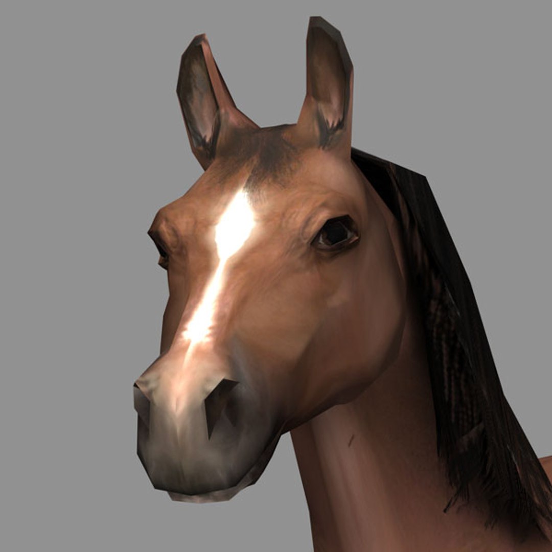 Maya Horse Games Zipped