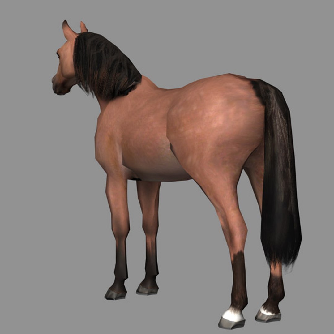 Maya Horse Games Zipped