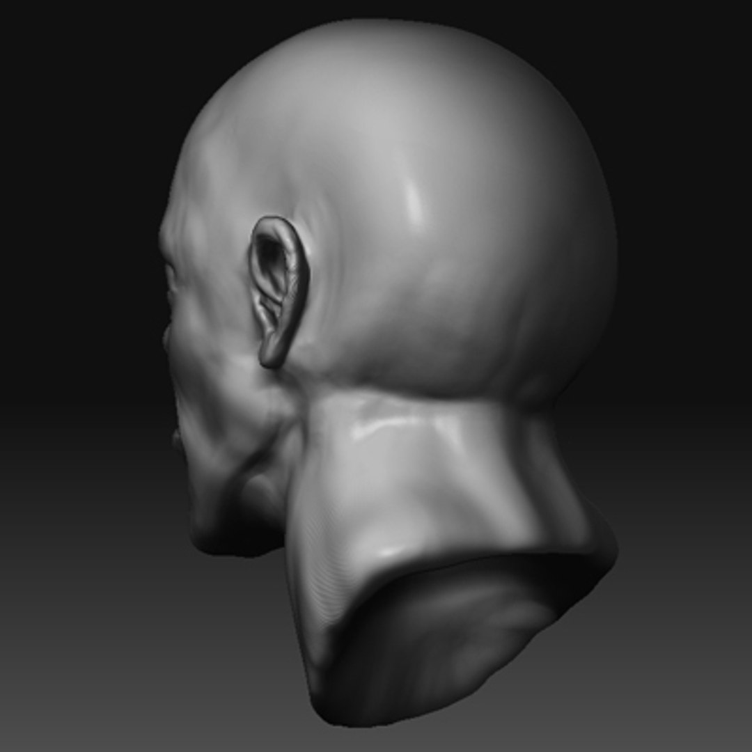 Male Face 3d Model