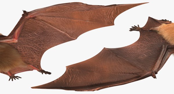 max bat fur rigged