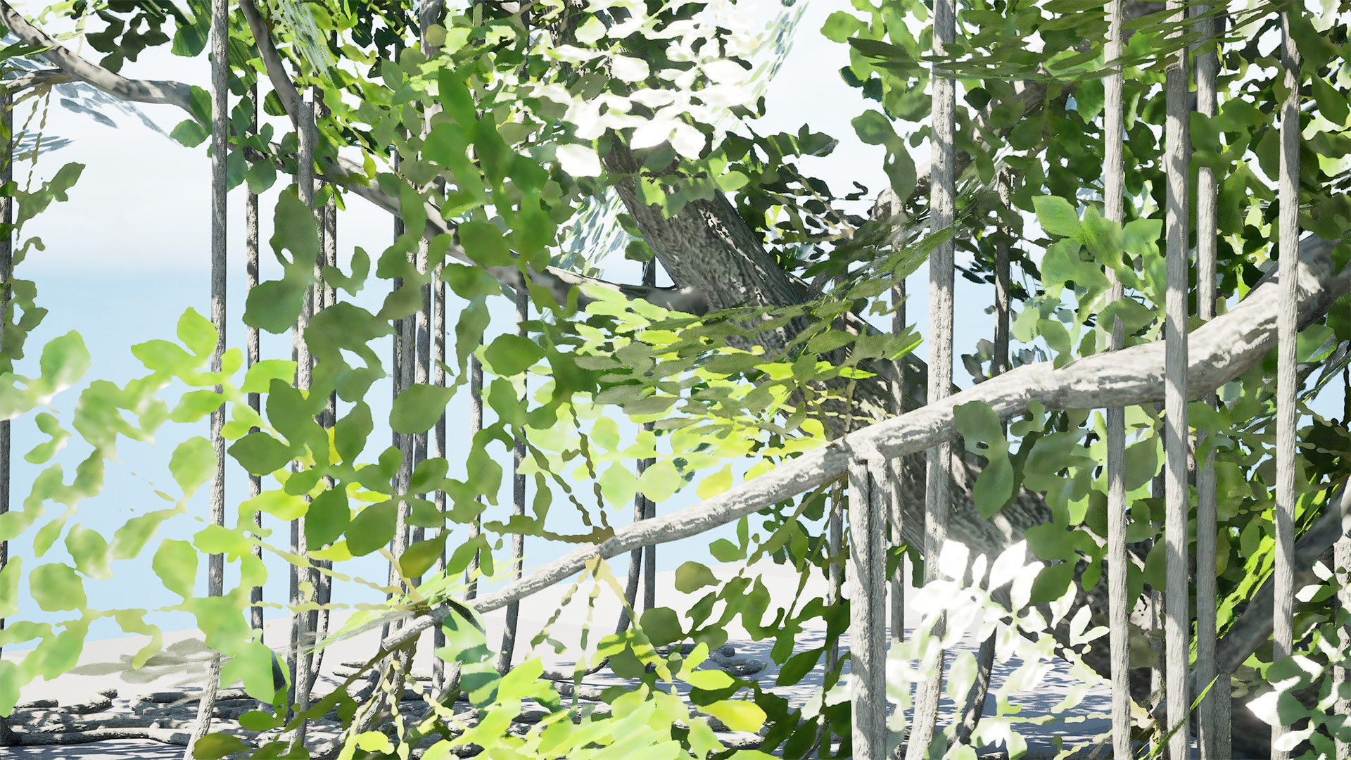 3D Realistic Jungle Tree Model - TurboSquid 2279192