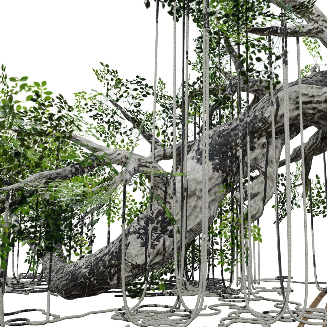 3D Realistic Jungle Tree Model - TurboSquid 2279192