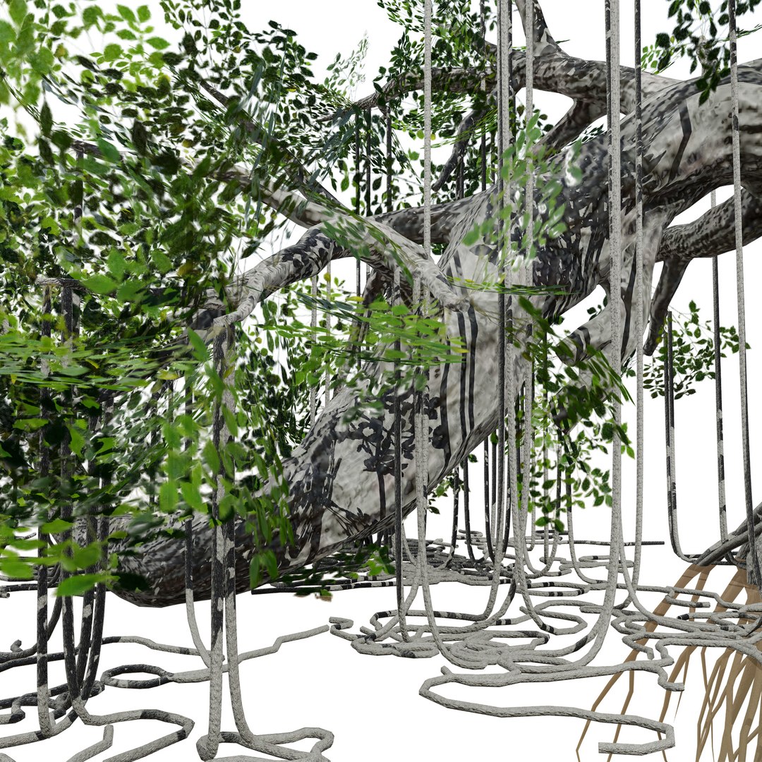 3D Realistic Jungle Tree Model - TurboSquid 2279192