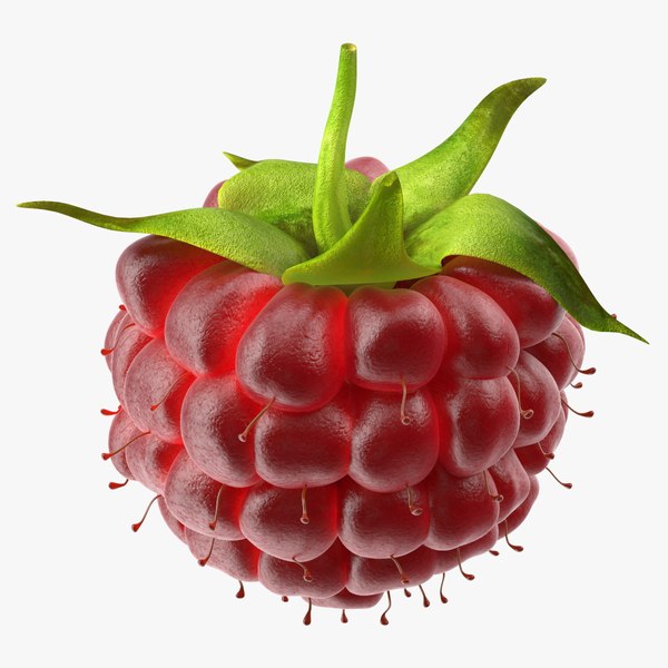 Raspberry 3D Models for Download | TurboSquid