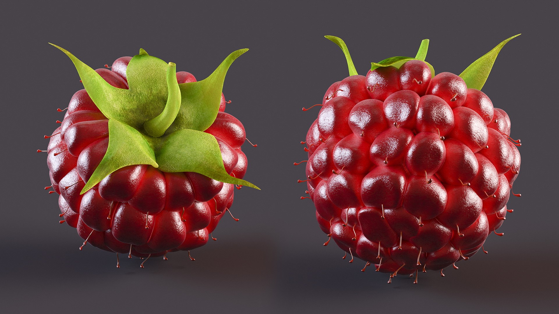 3D Red Raspberry Fur Model - TurboSquid 2166923