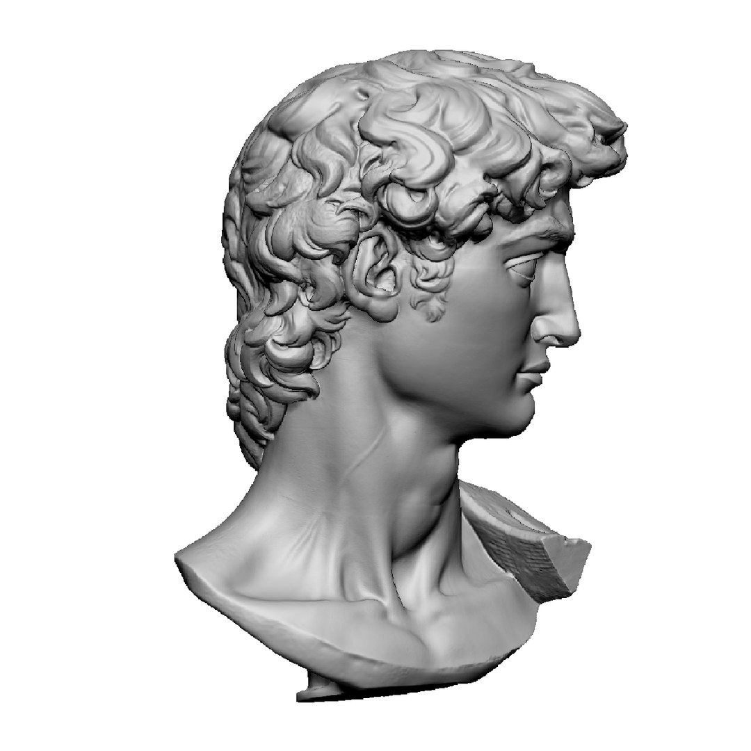 David Bust Michelangelo 3D - TurboSquid 1257557