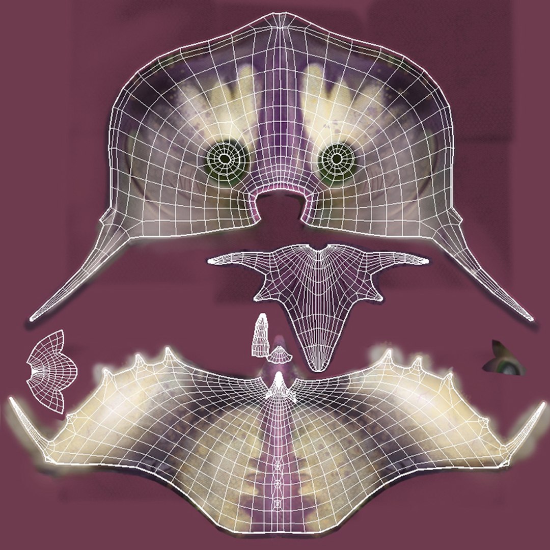 Cartoon Fish Tang Rig Fish Model - TurboSquid 1986326