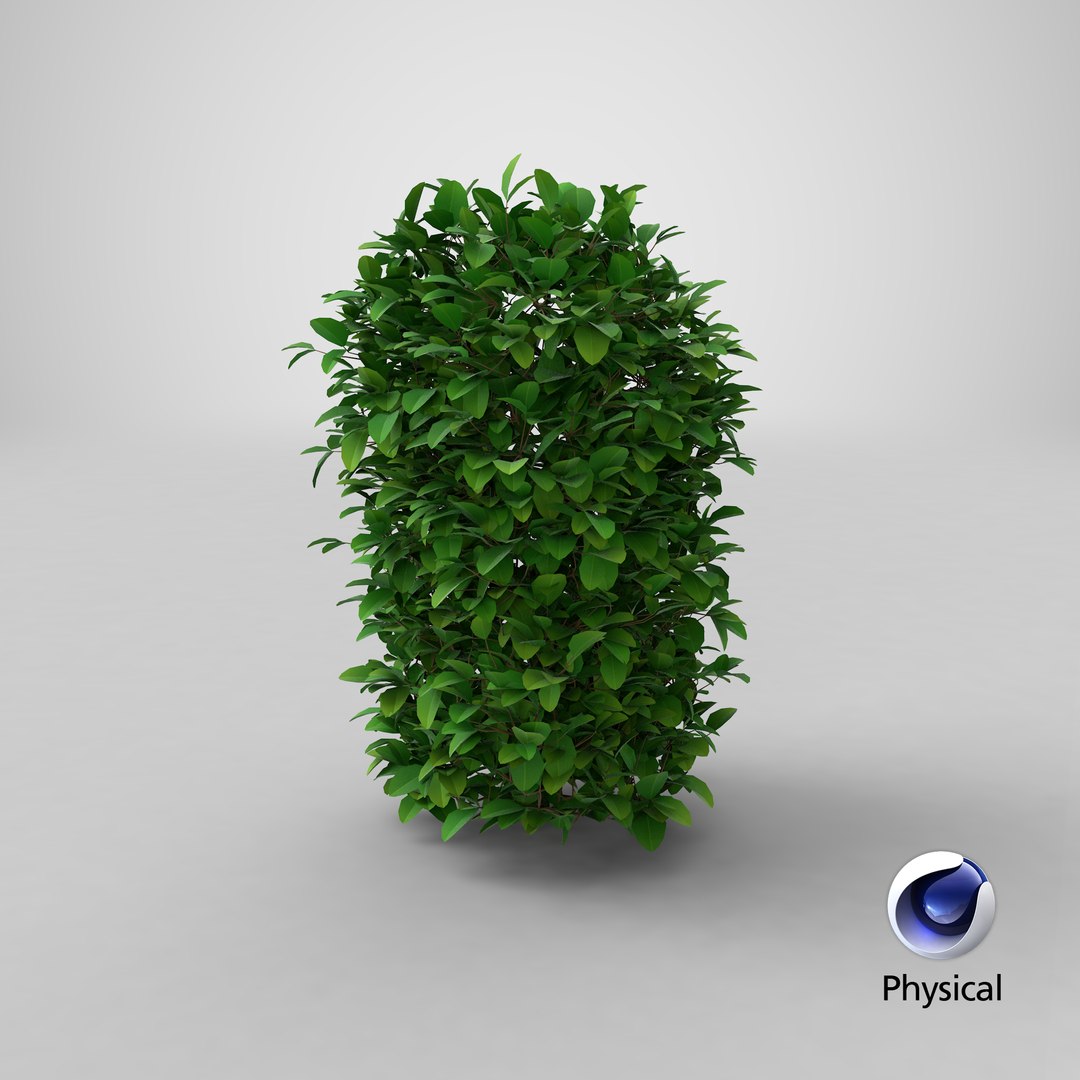 Cartoon Bush 05 3D Model - TurboSquid 1941421