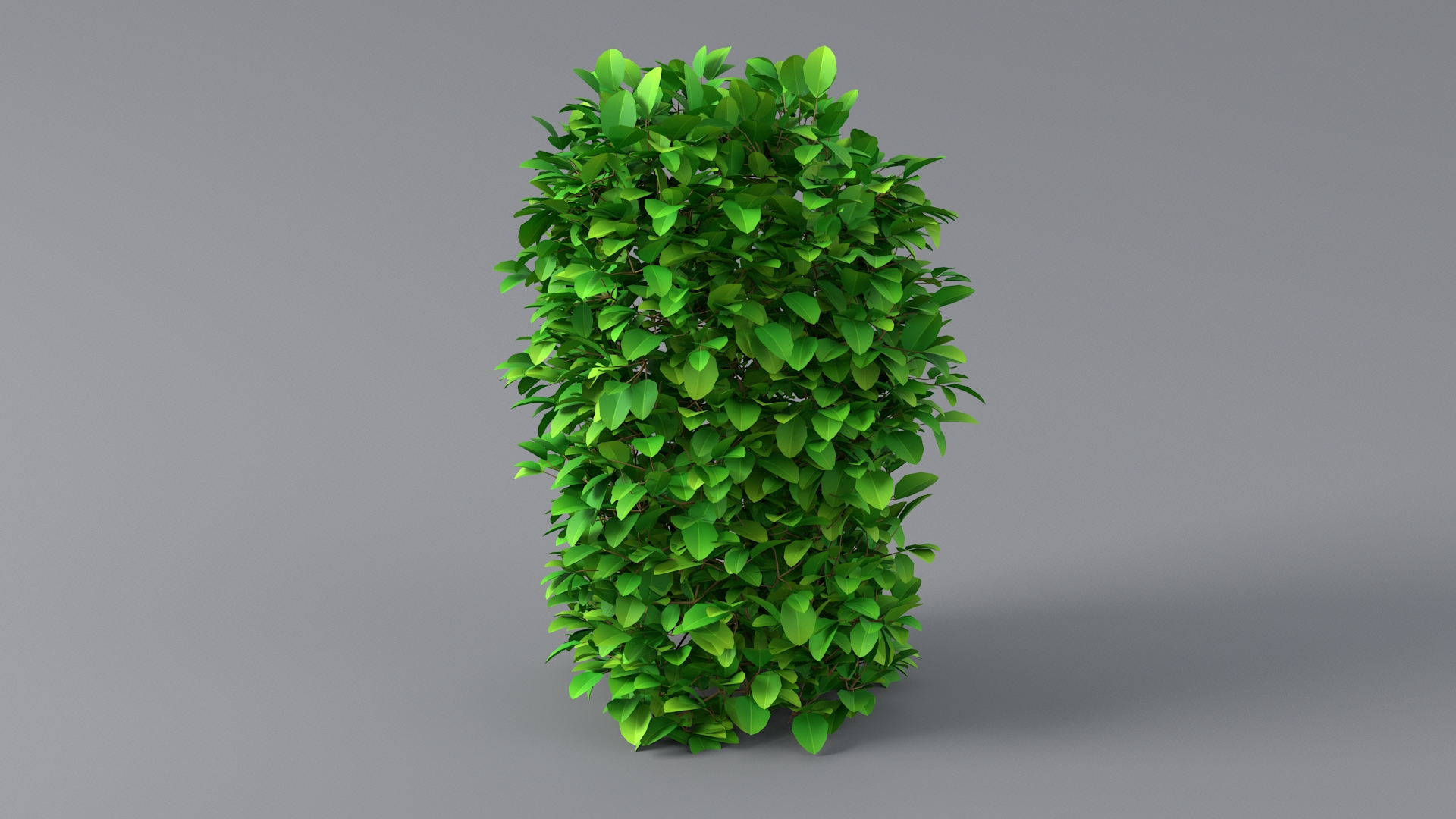 Cartoon Bush 05 3D Model - TurboSquid 1941421