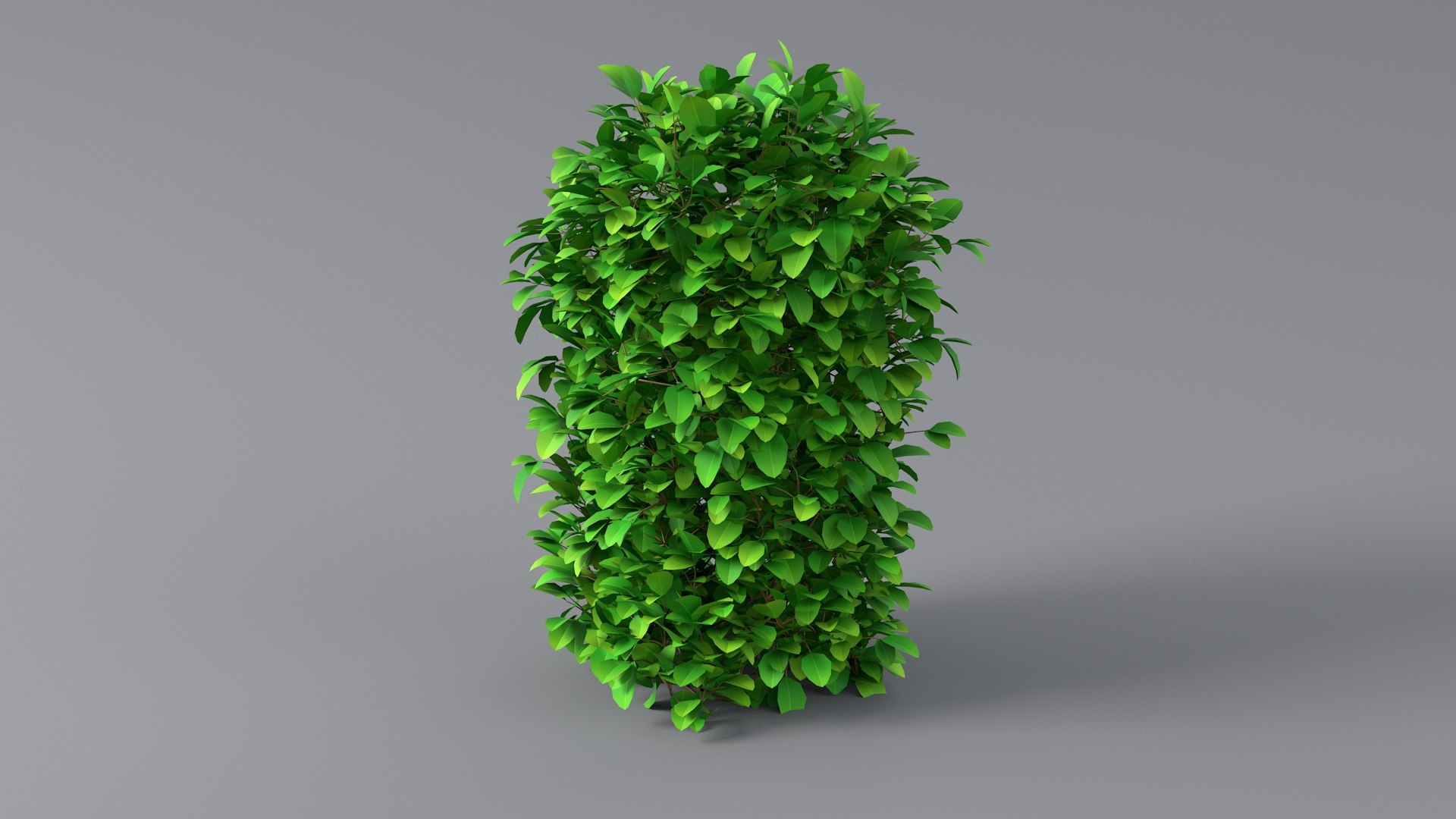 Cartoon Bush 05 3D Model - TurboSquid 1941421