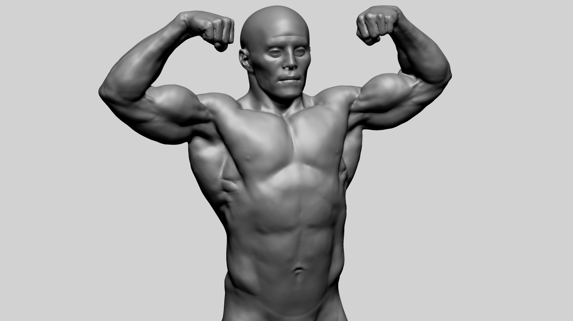 Male Anatomy F 3D Model - TurboSquid 2205260