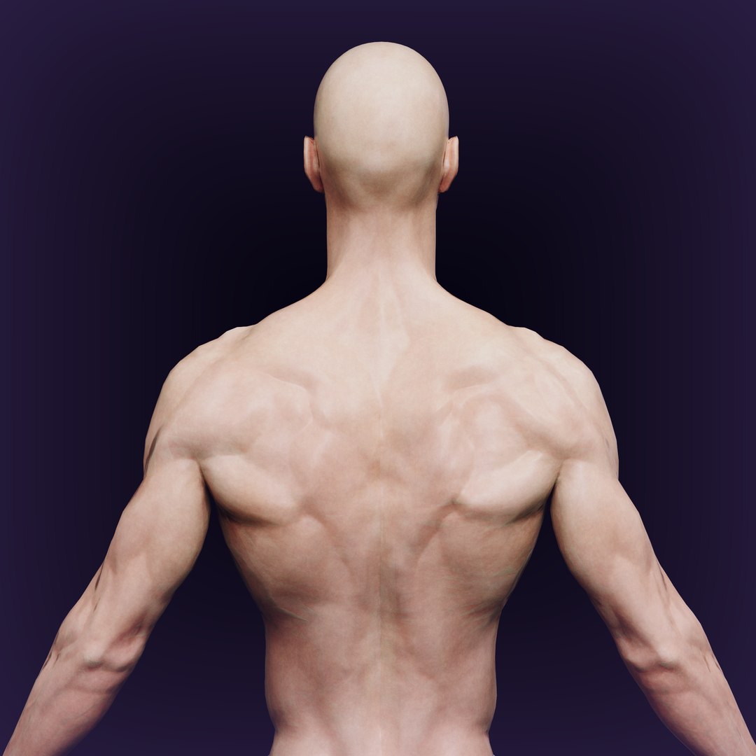 Transhumanist Realistic Low Poly 3D Model - TurboSquid 2260367