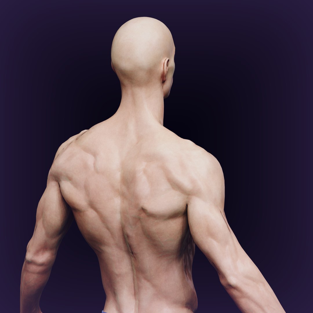 Transhumanist Realistic Low Poly 3D Model - TurboSquid 2260367