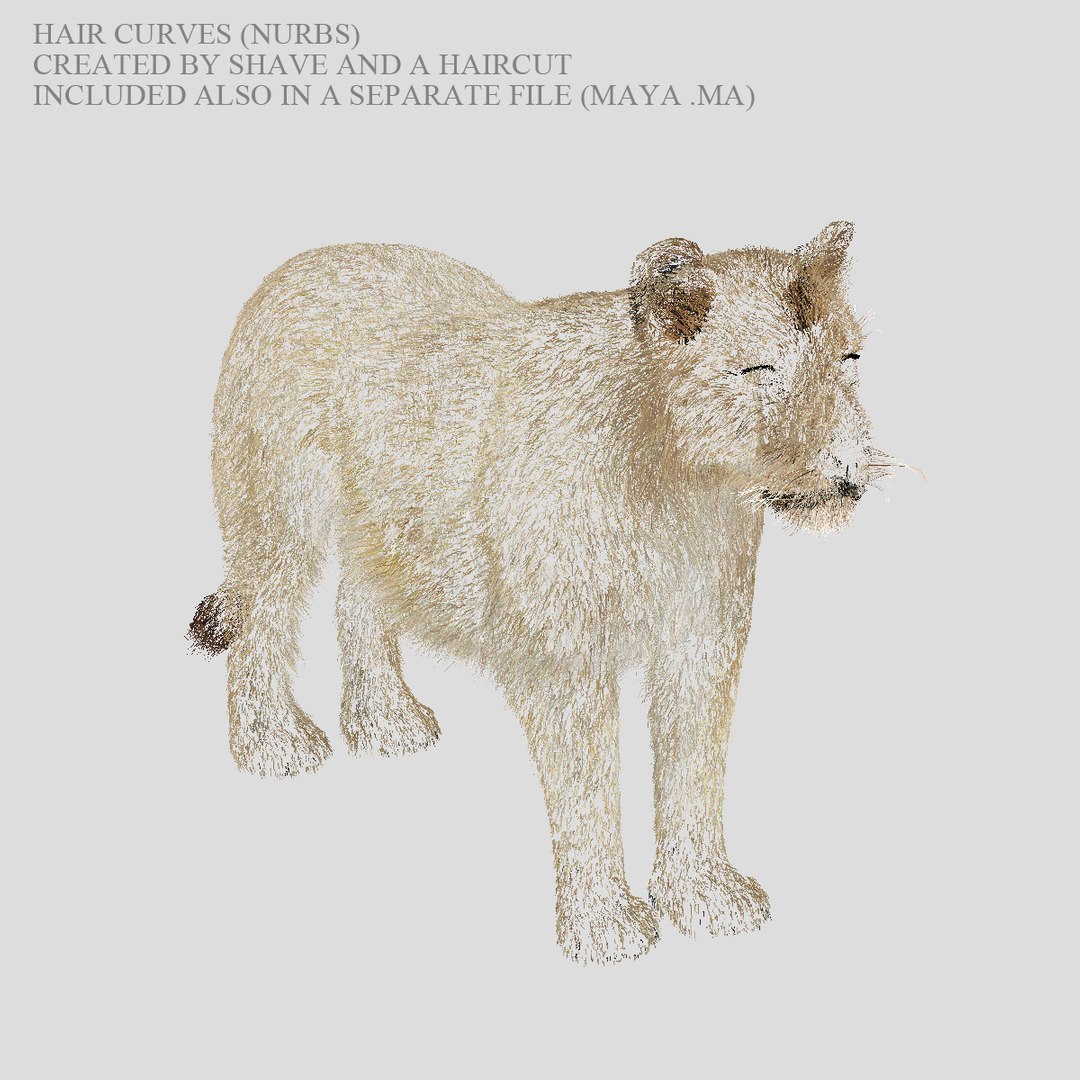 3d Lioness Fur