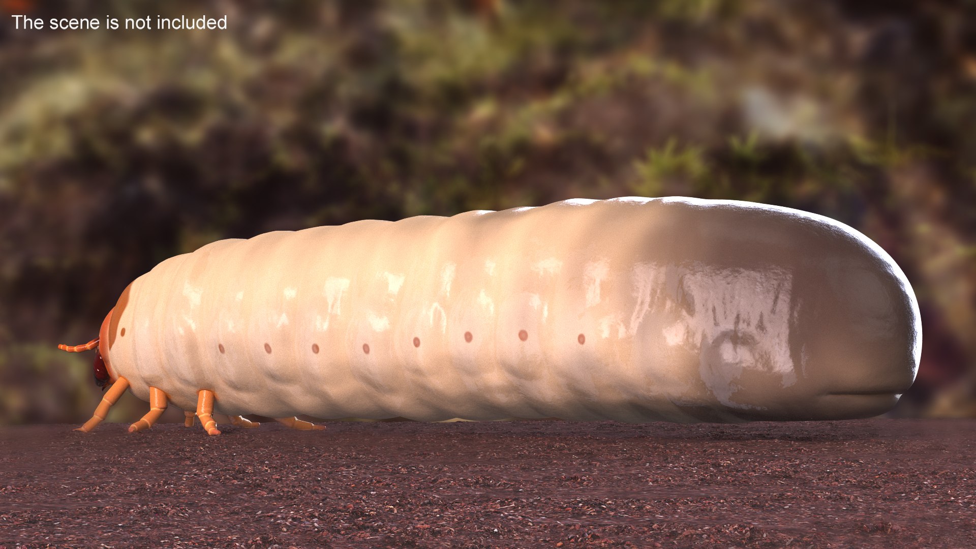 3D Maggot May Bug model - TurboSquid 2164229