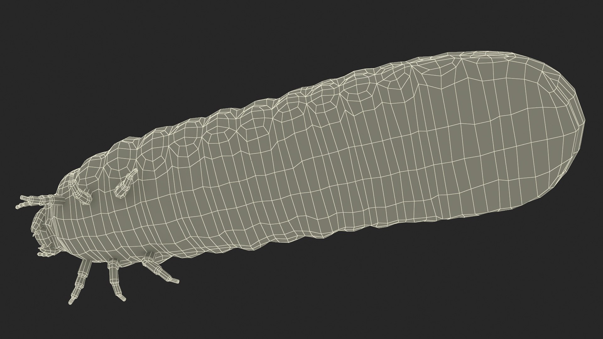 3D Maggot May Bug model - TurboSquid 2164229