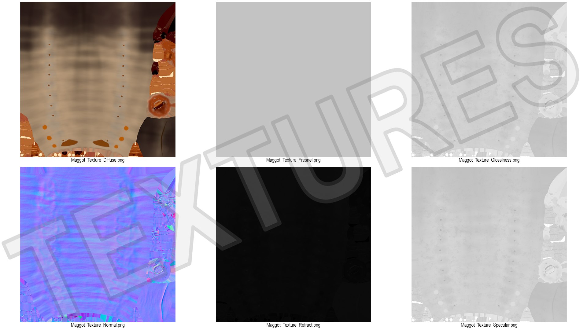 3D Maggot May Bug model - TurboSquid 2164229