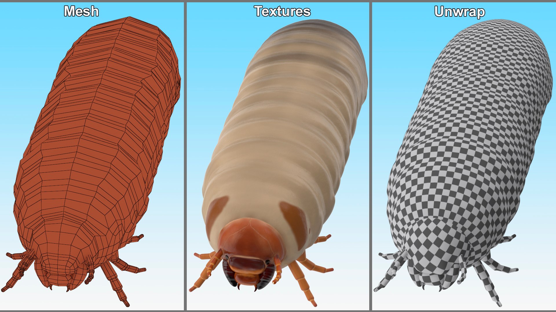 3D Maggot May Bug model - TurboSquid 2164229