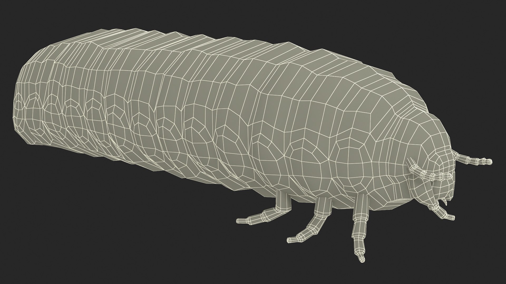 3D Maggot May Bug model - TurboSquid 2164229