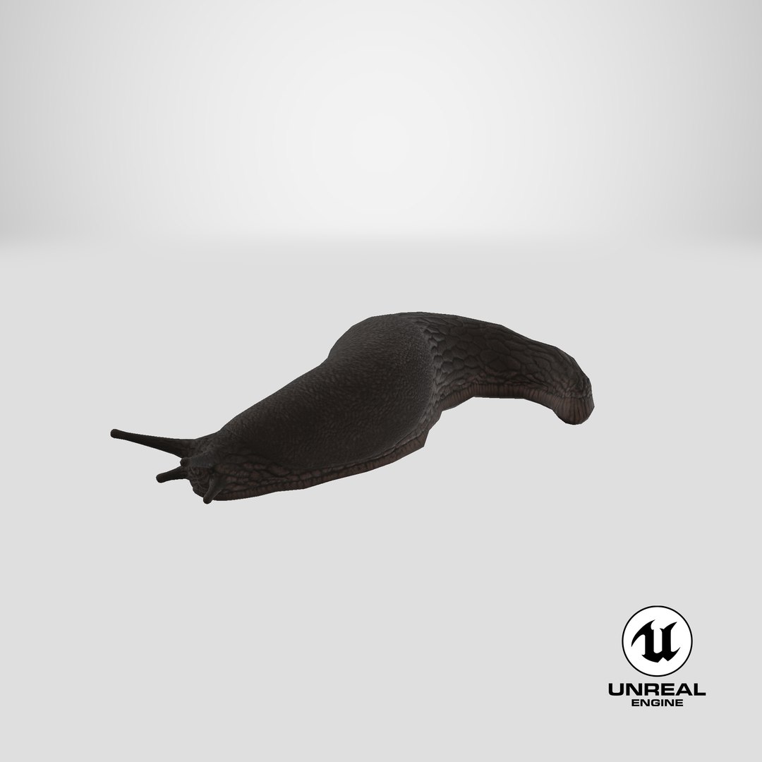 Black Garden Slug Crawling 3D Model - TurboSquid 2013505