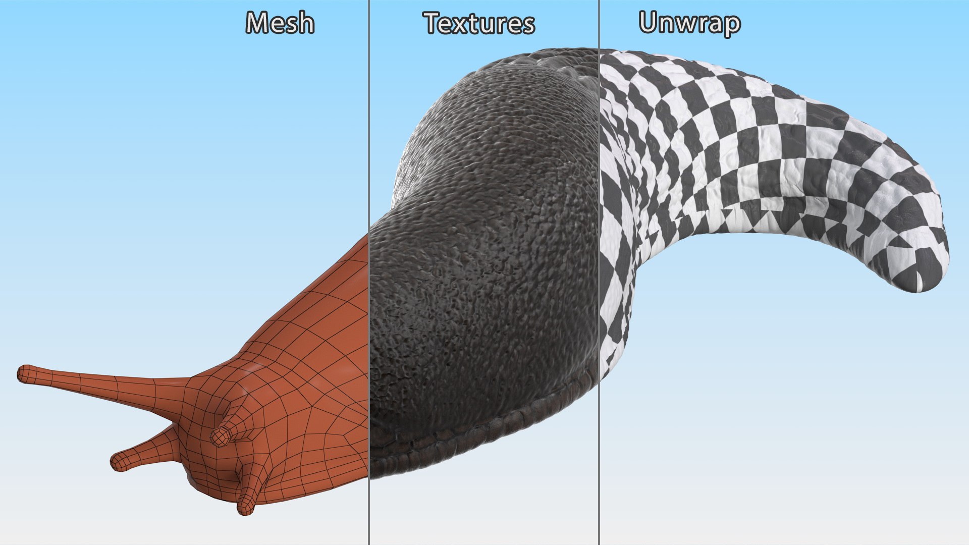 Black Garden Slug Crawling 3D model - TurboSquid 2013505