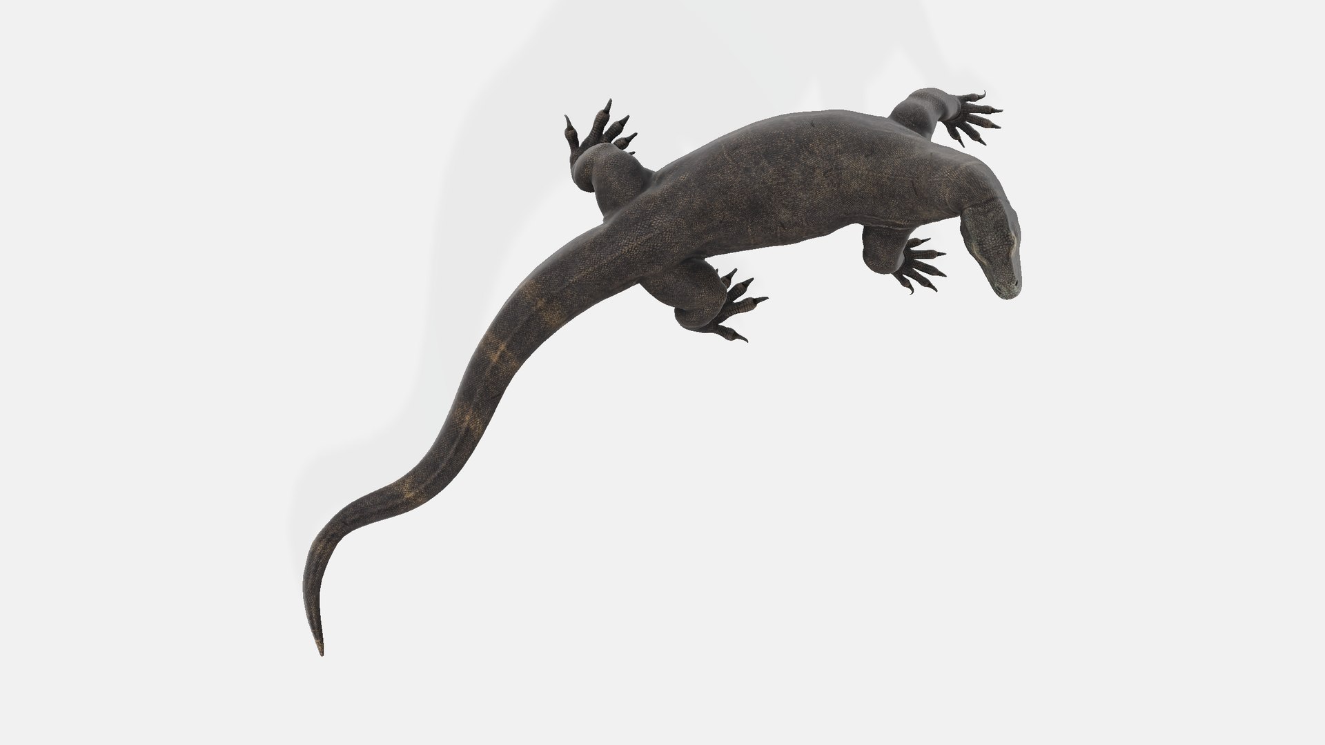 Komodo Dragon 3D Model - TurboSquid 2300764