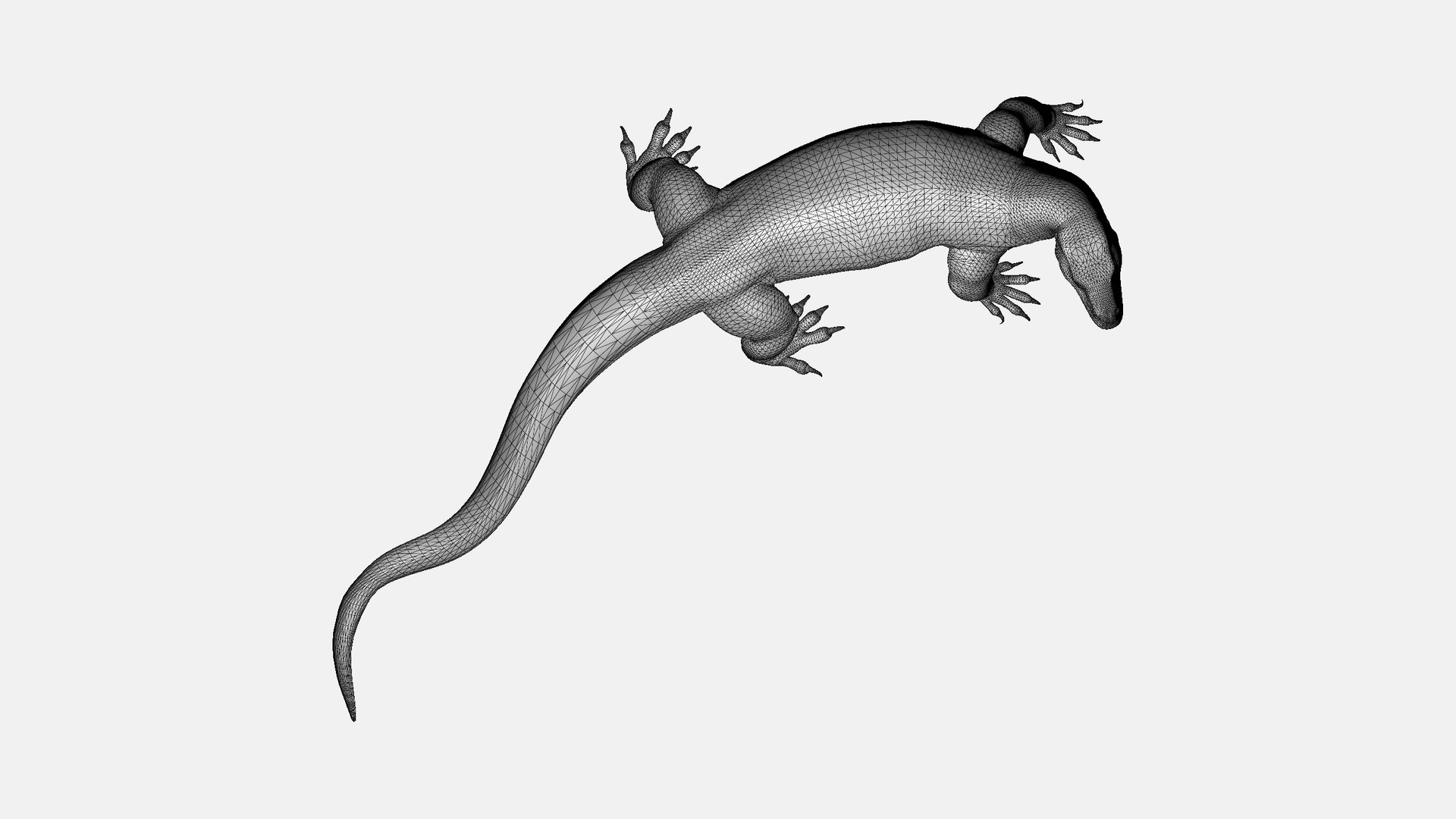 Komodo Dragon 3D Model - TurboSquid 2300764