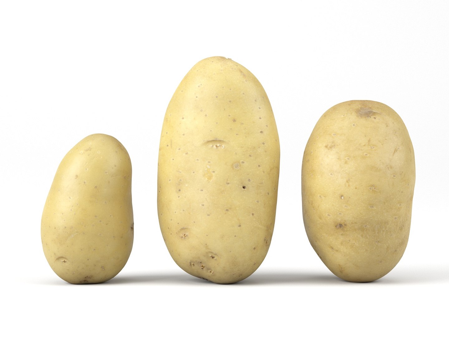 3D different scanned potato model - TurboSquid 1285801