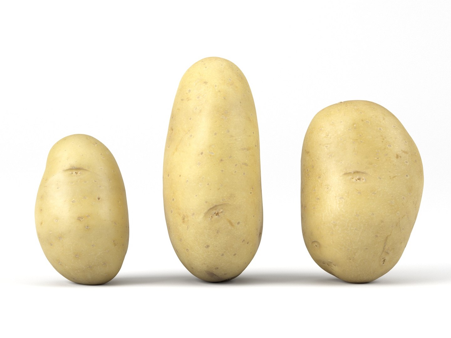 3D different scanned potato model - TurboSquid 1285801