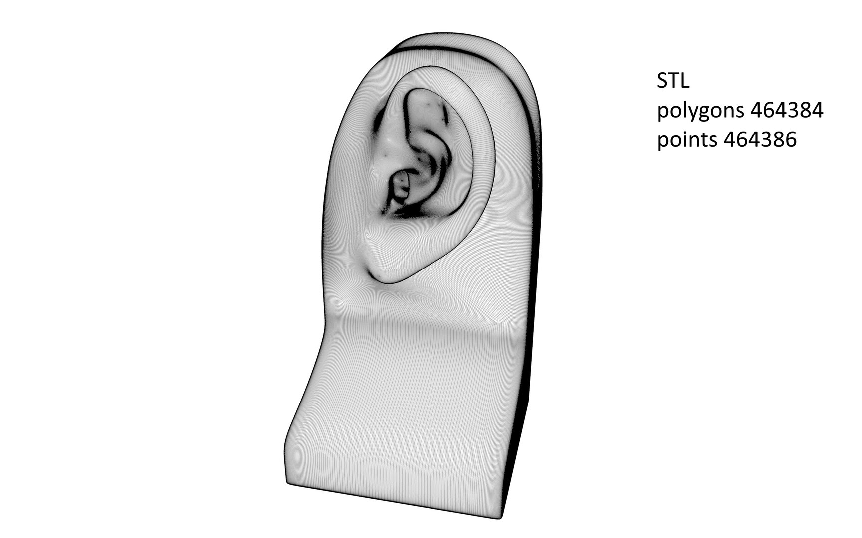3D Model Ear Printed - TurboSquid 1169241