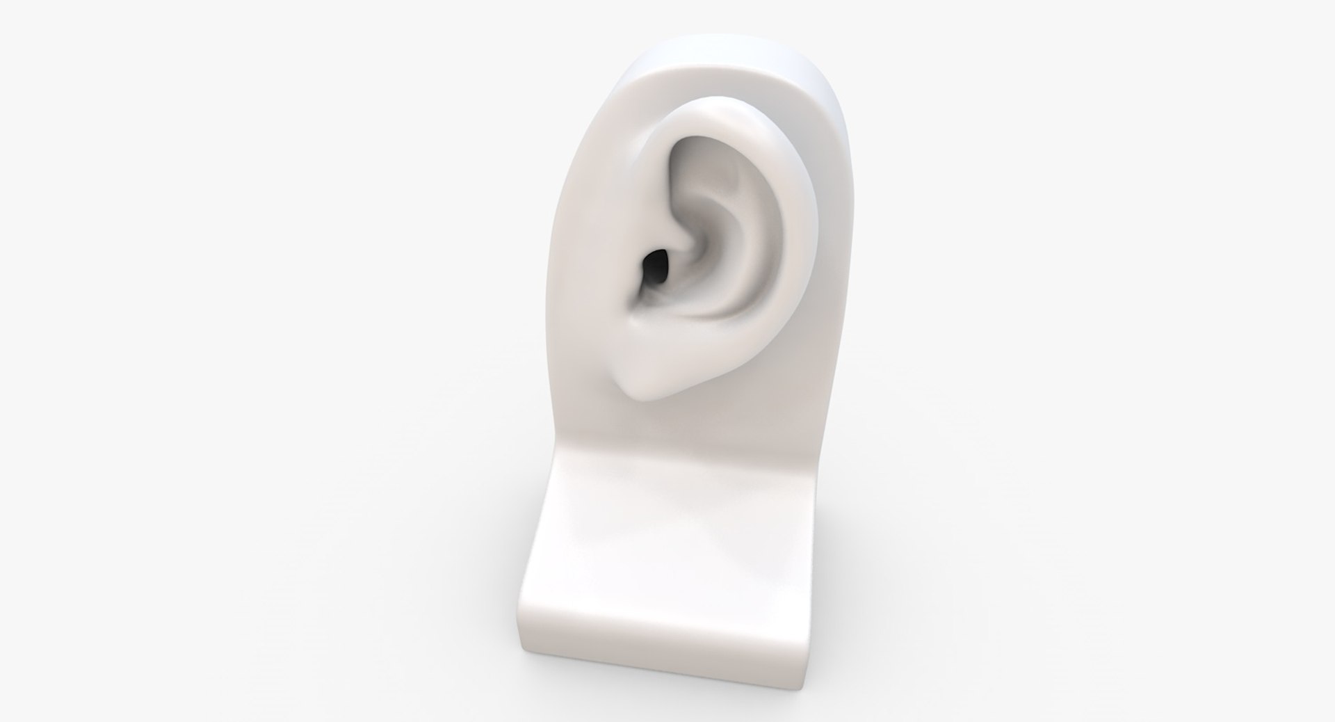 3D Model Ear Printed - TurboSquid 1169241