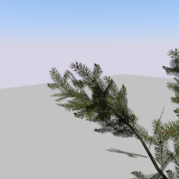Pine tree model - TurboSquid 1508559