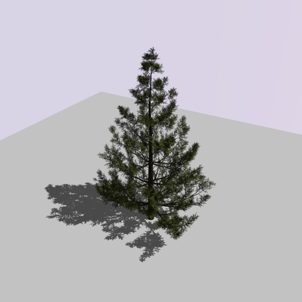 Pine tree model - TurboSquid 1508559