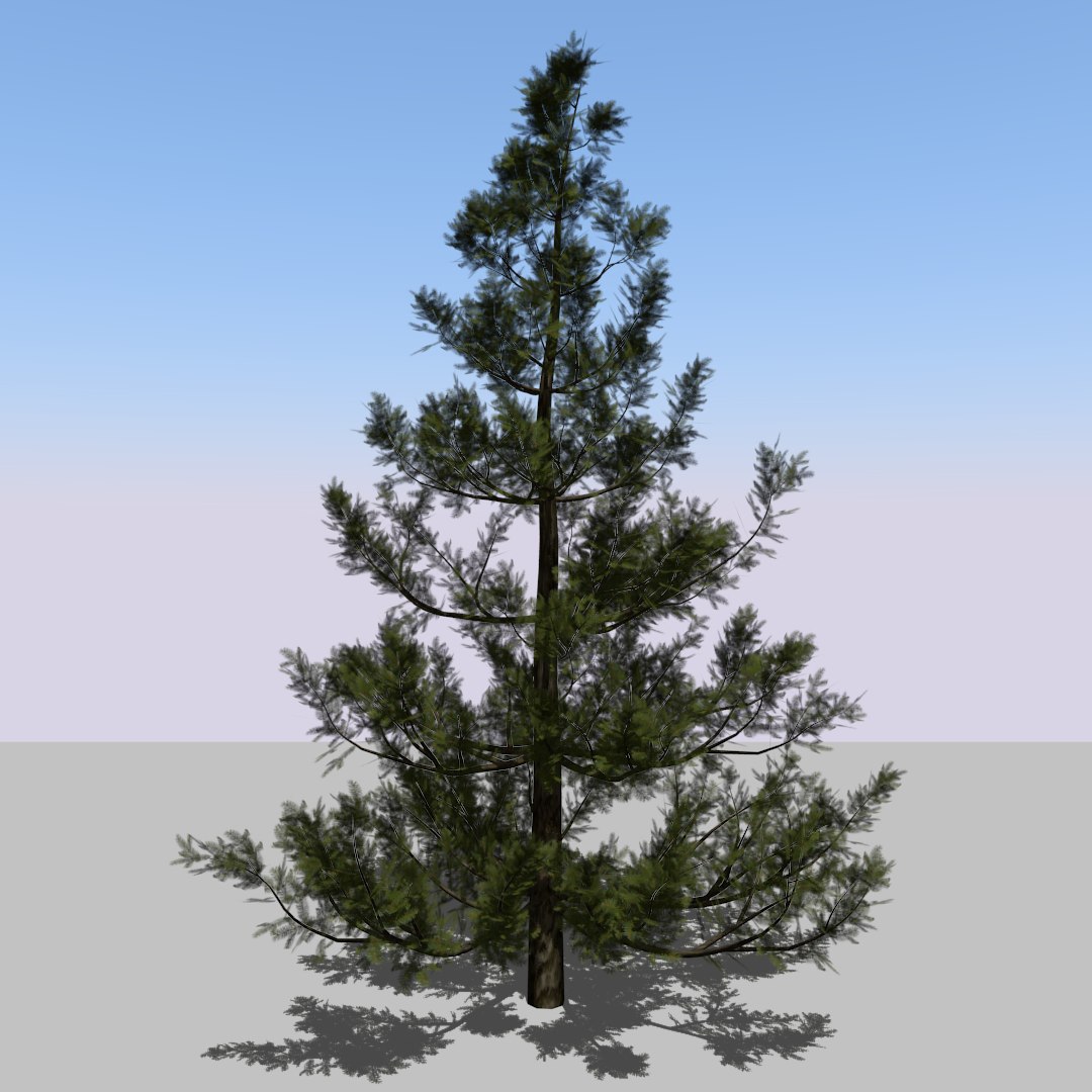Pine Tree Model - TurboSquid 1508559