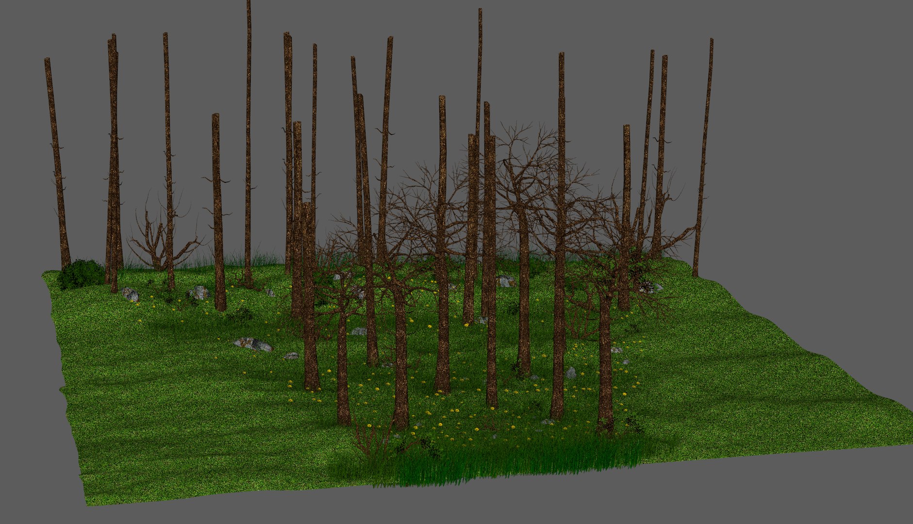 3D Cartoon Forest - TurboSquid 1330447