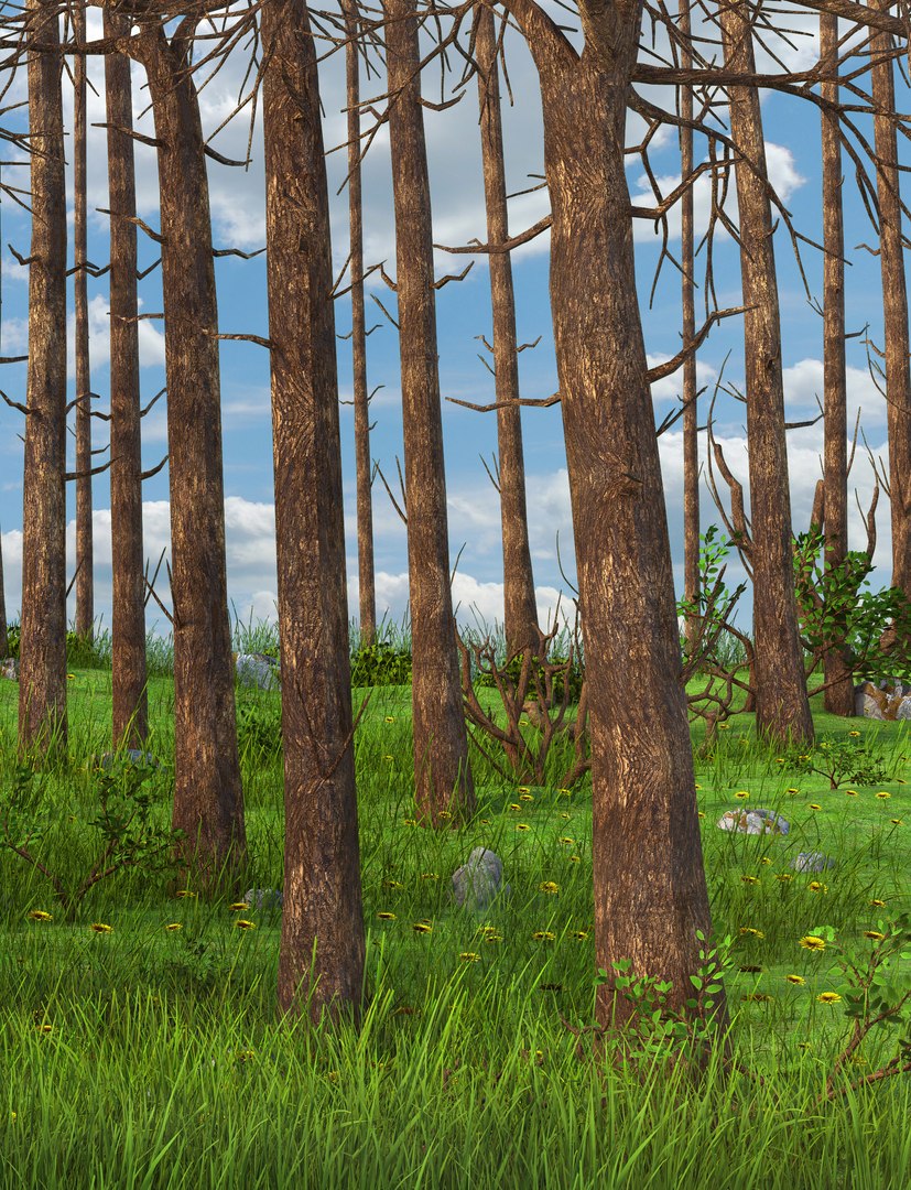 3D Cartoon Forest - TurboSquid 1330447