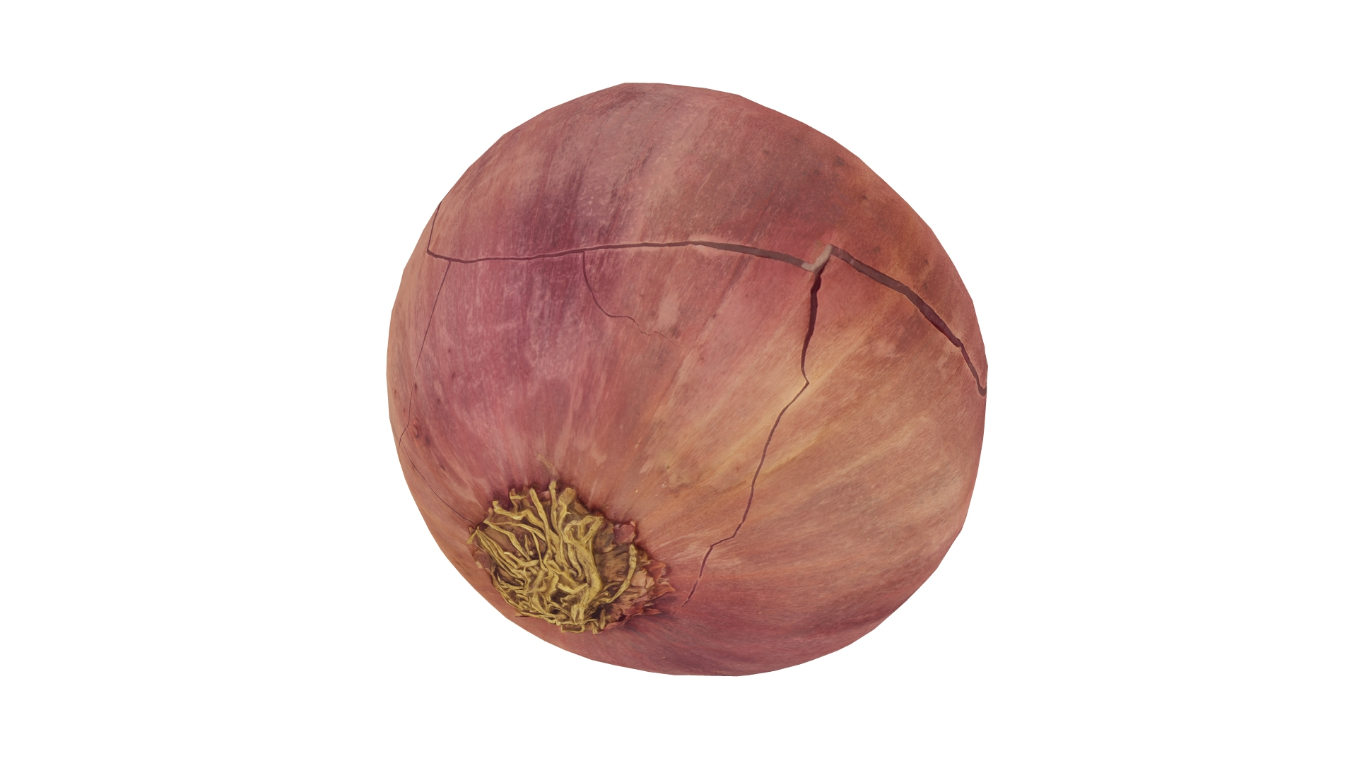 Red Onion - Real-Time 3D Scanned 3D model - TurboSquid 1733889