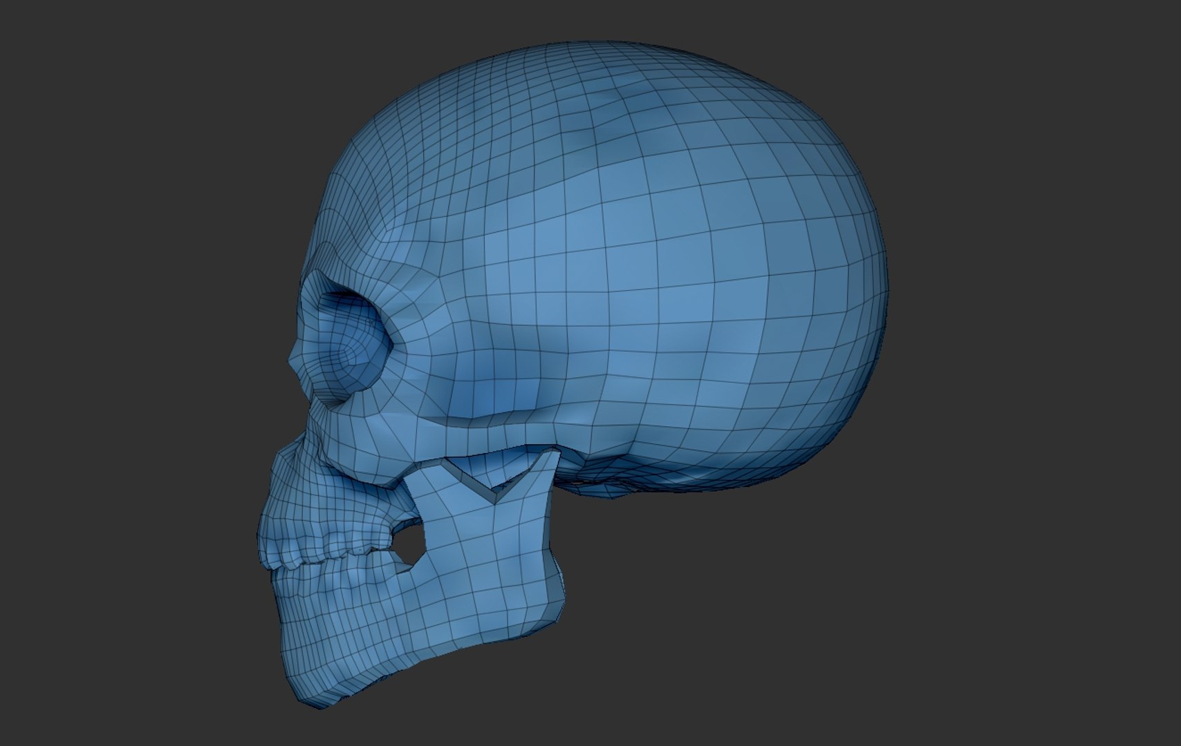 3D realistic skull head - TurboSquid 1156527