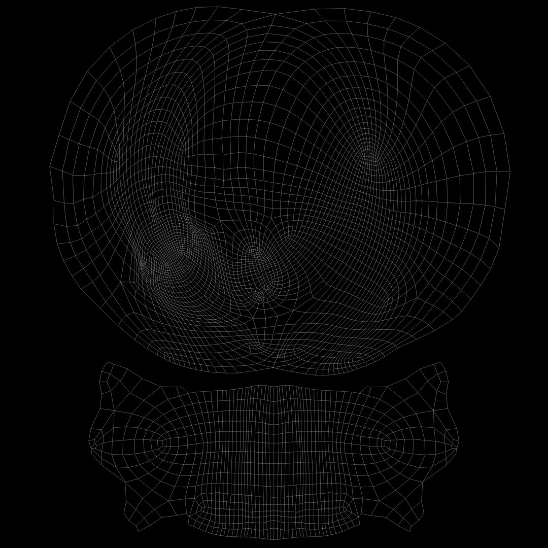 3D realistic skull head - TurboSquid 1156527
