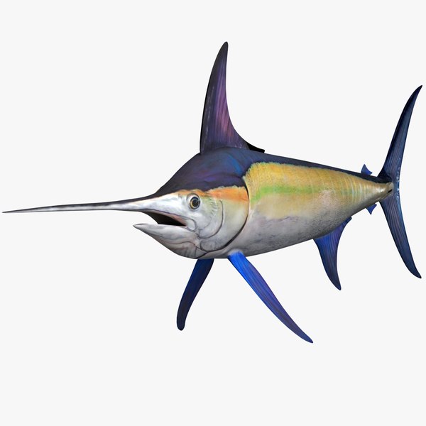 3D model creature character mermaid - TurboSquid 1417797