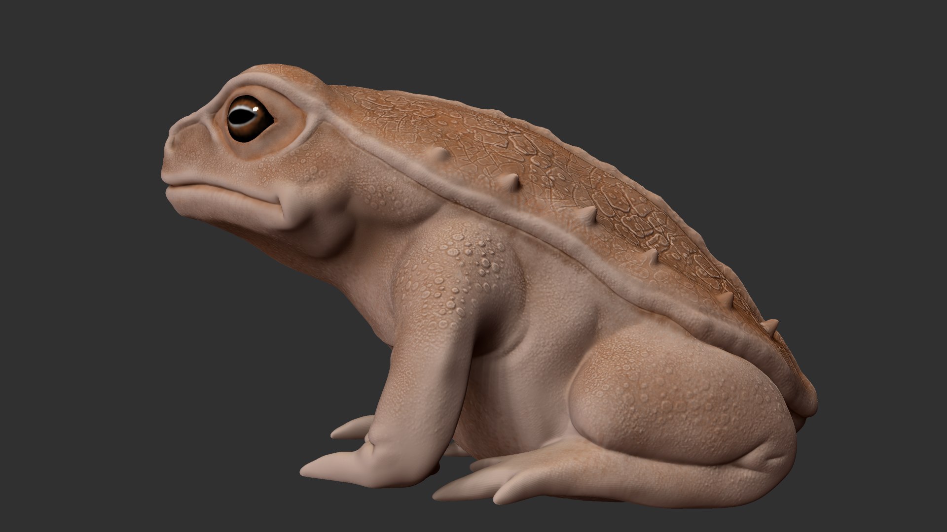 Spiny Earth Frog 3D Model - TurboSquid 1916162